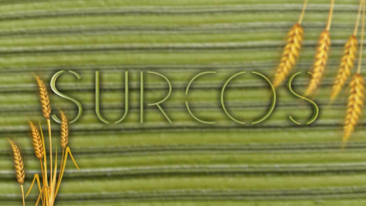 Surcos Castilla y León