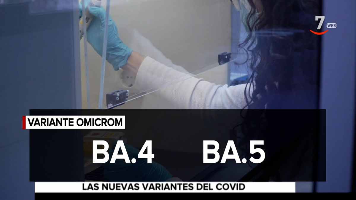 Analizamos el nuevo ómicron BA5, sublinaje del COVID: más contagios y ...