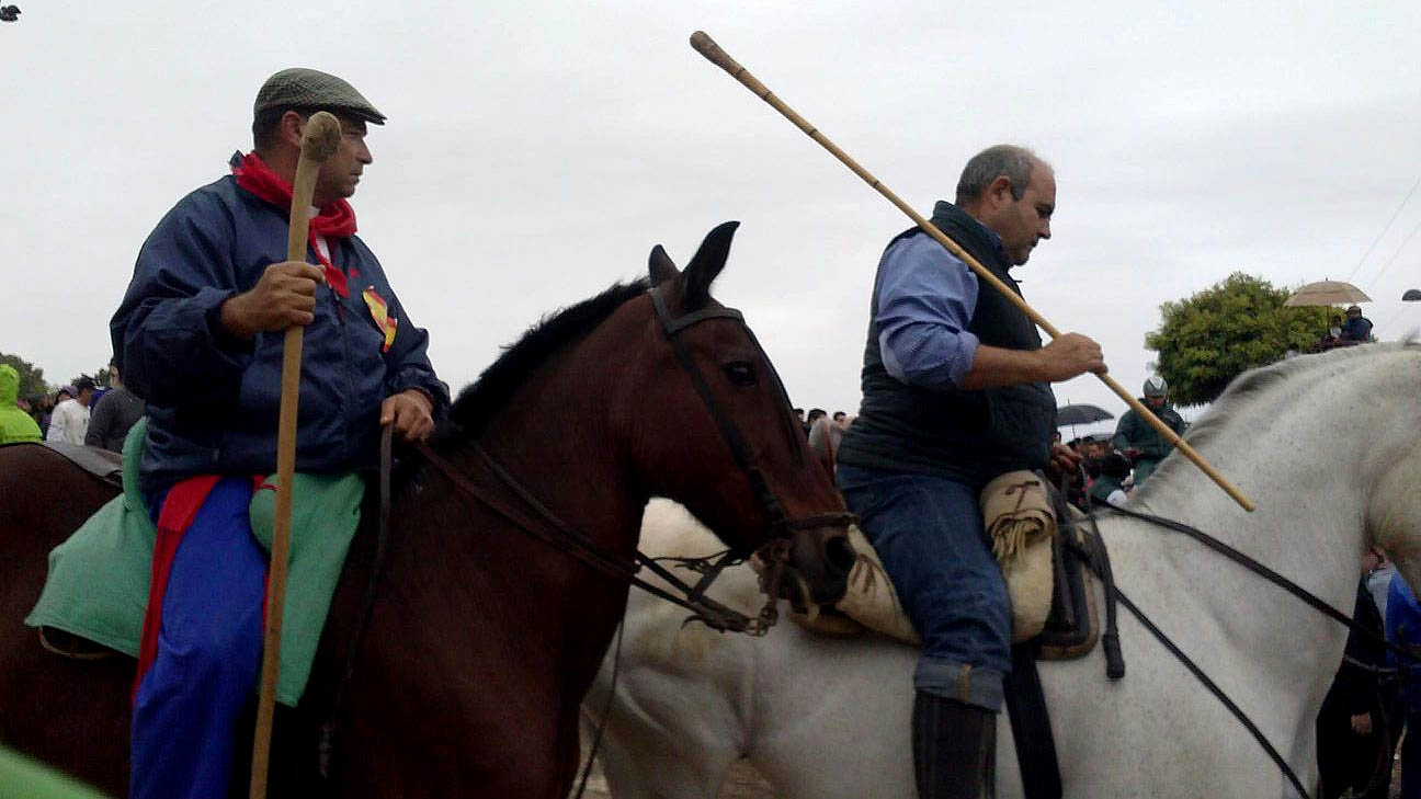 El jurado declara nulo el festejo del Toro de la Vega al incumplirse ...