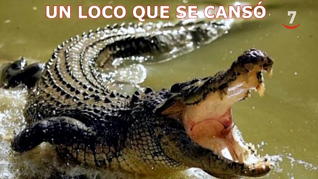 La búsqueda del cocodrilo en el Pisuerga convierte a Valladolid en el ...