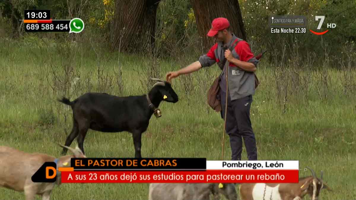 Edilberto, el pastor de cabras de Pombriego - cyltv.es