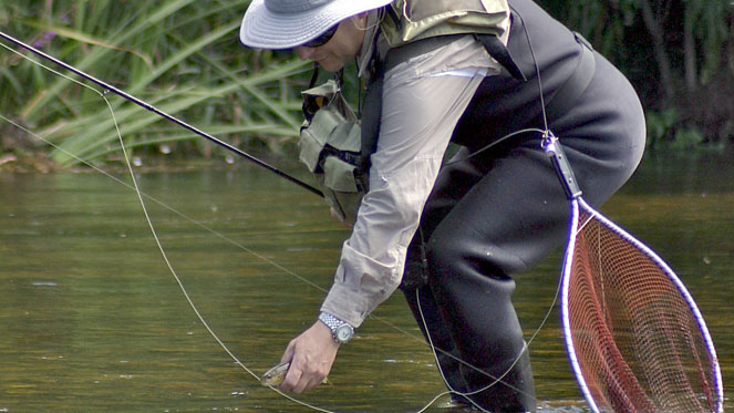 La pesca de trucha se abrirá en marzo en Ávila, Salamanca, Segovia y ...
