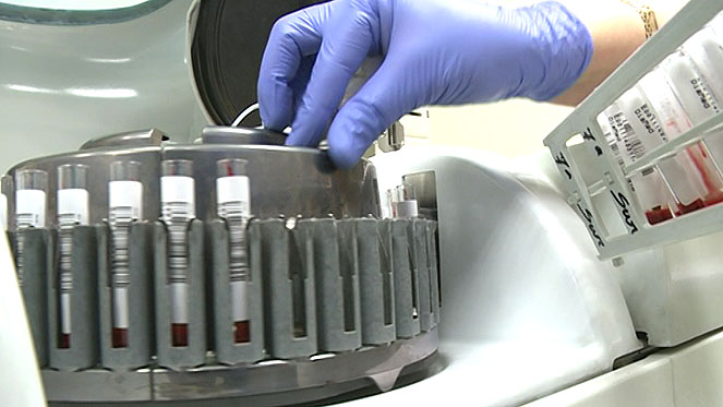 Amadix, única empresa española que consigue en 2017 la ayuda europea en ...